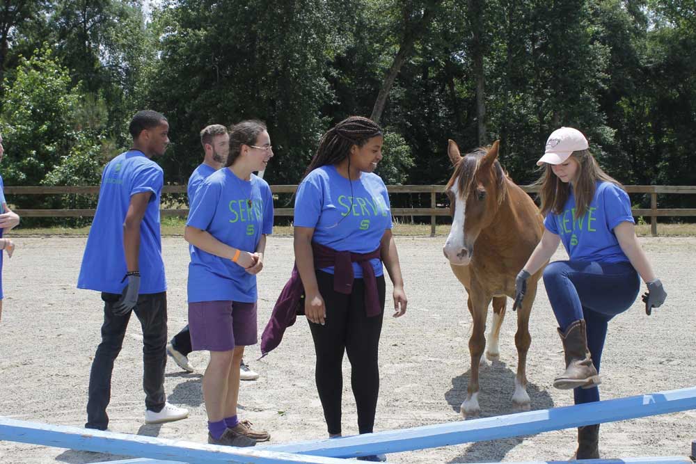 Equine Assisted Learning Activity-Prepare in Christ – The Shepherd Academy